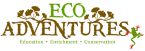 Discover Adventures in Nature With Us - Eco Adventures