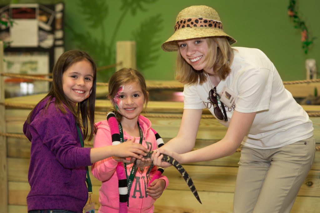 Photo Gallery of Our Nature Camp and Events - Eco Adventures
